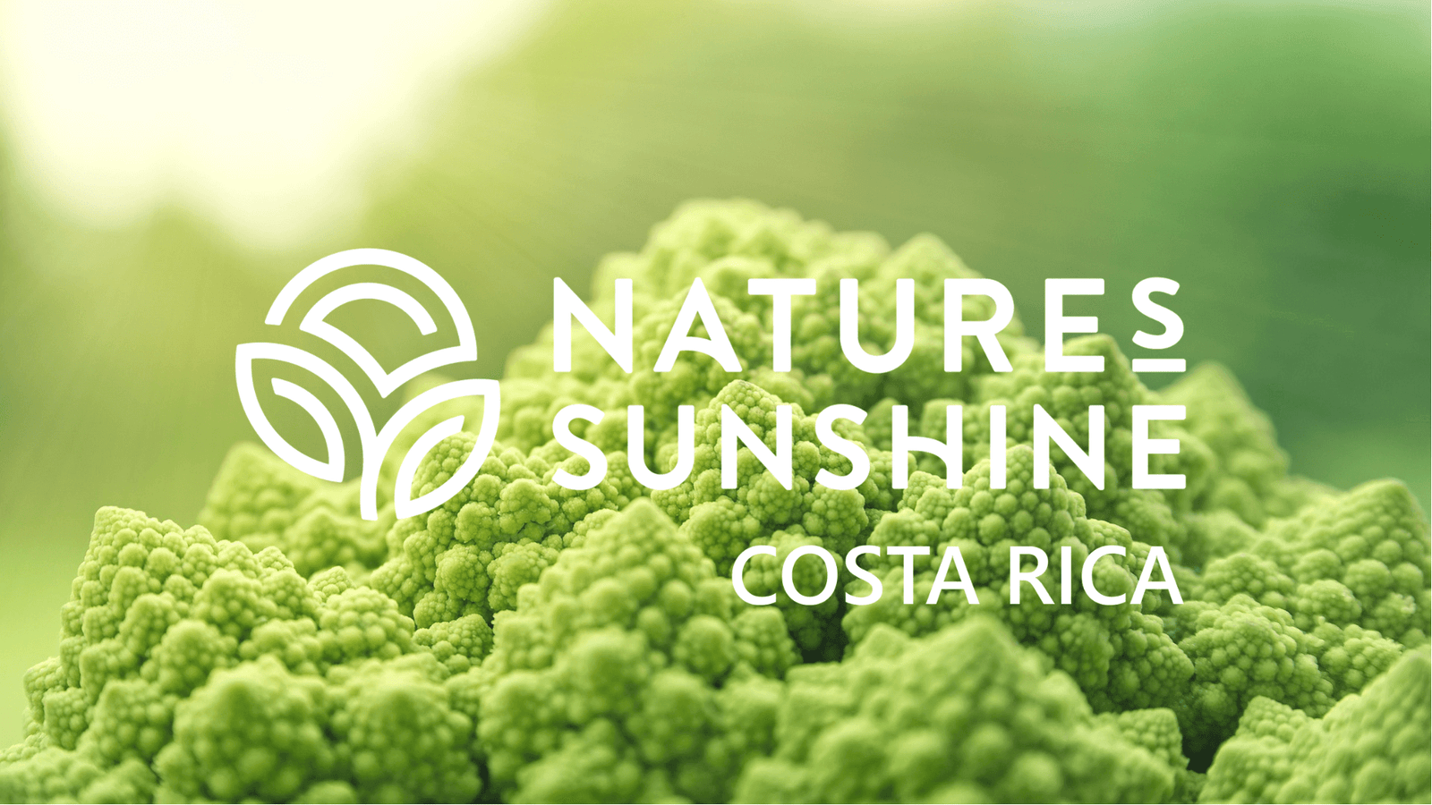 Todo lo que debes saber sobre la medicina natural en Costa Rica